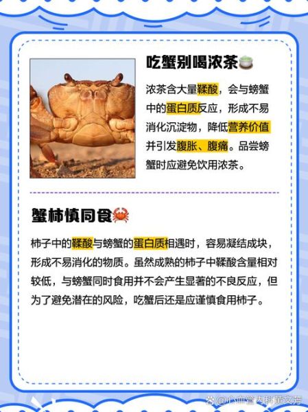 吃完螃蟹不能吃什么_吃螃蟹后忌口的5种食物-第3张图片-山城妙识