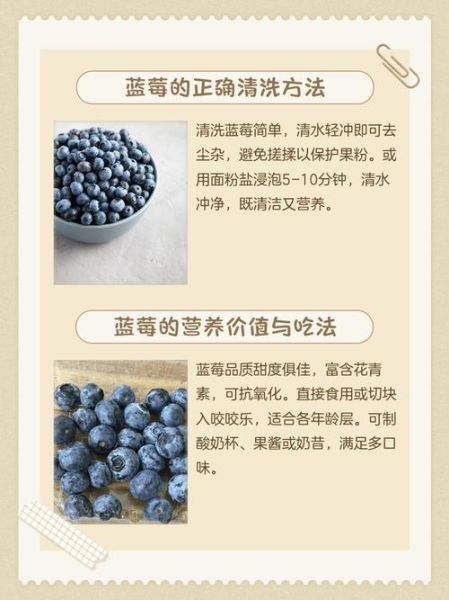 蓝莓直接吃还是去皮_蓝莓要不要剥皮-第1张图片-山城妙识