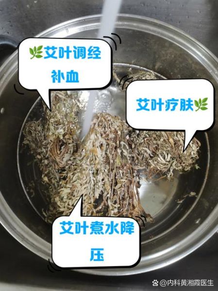 艾叶煮水喝有毒吗_艾叶煮水正确方法-第2张图片-山城妙识