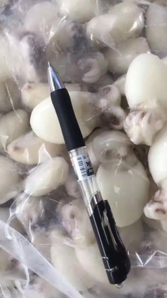 冷冻小乌贼怎么做好吃_冷冻小乌贼怎么处理-第3张图片-山城妙识