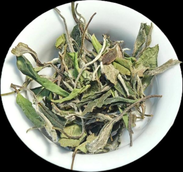 福鼎白茶等级分类_白毫银针和白牡丹哪个好-第2张图片-山城妙识