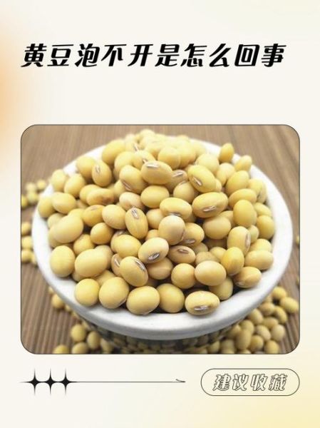 黄豆不泡可以直接煮吗_黄豆不泡多久能煮熟-第2张图片-山城妙识