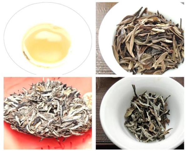 福鼎白茶等级分类_白毫银针和白牡丹哪个好-第3张图片-山城妙识