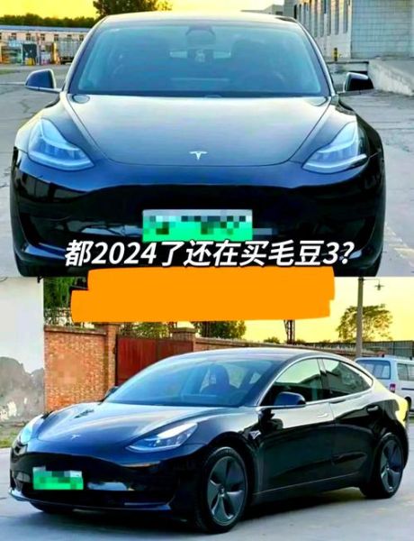 毛豆3和毛豆y区别_哪个更值得买-第1张图片-山城妙识