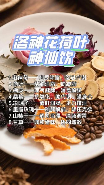 荷叶茶一周瘦20斤_真的假的-第2张图片-山城妙识