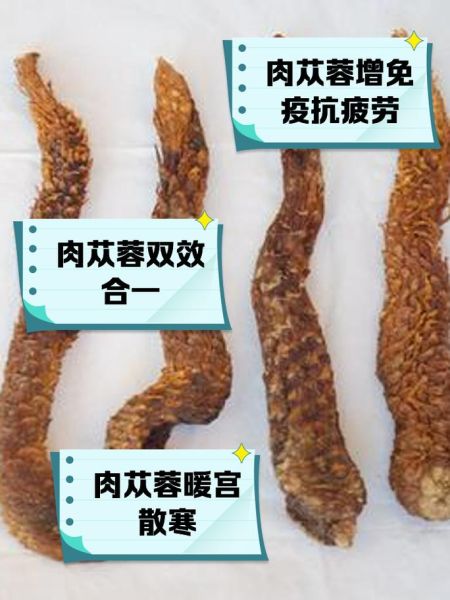肉苁蓉的功效与作用_肉苁蓉的副作用有哪些-第3张图片-山城妙识