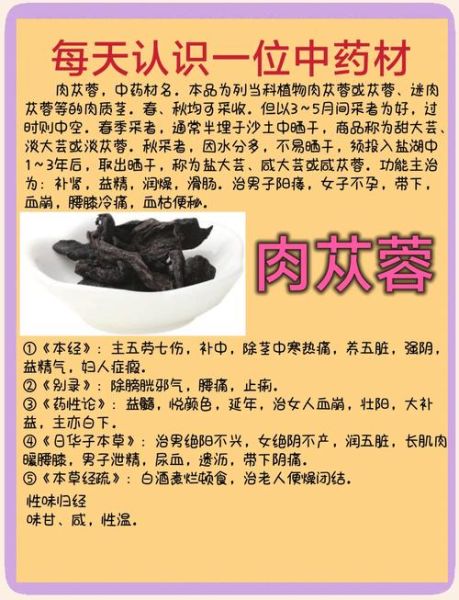 肉苁蓉的功效与作用_肉苁蓉的副作用有哪些-第1张图片-山城妙识