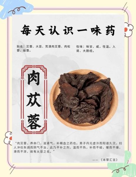 肉苁蓉的功效与作用_肉苁蓉的副作用有哪些-第2张图片-山城妙识