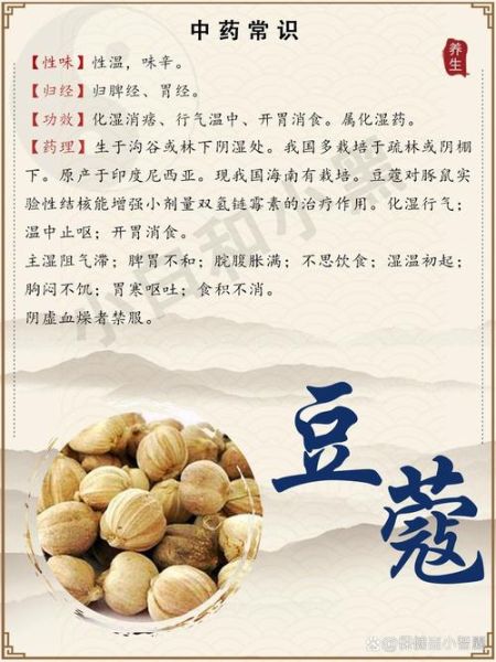 豆蔻的功效与作用_豆蔻主治哪些疾病-第1张图片-山城妙识