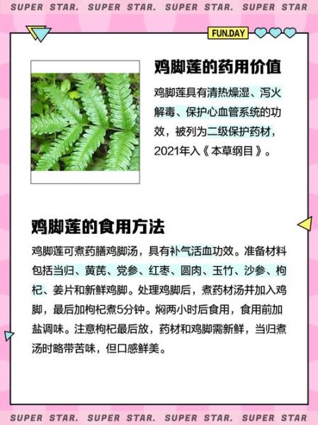 鸡爪草的功效与作用_鸡爪草能治什么病-第3张图片-山城妙识