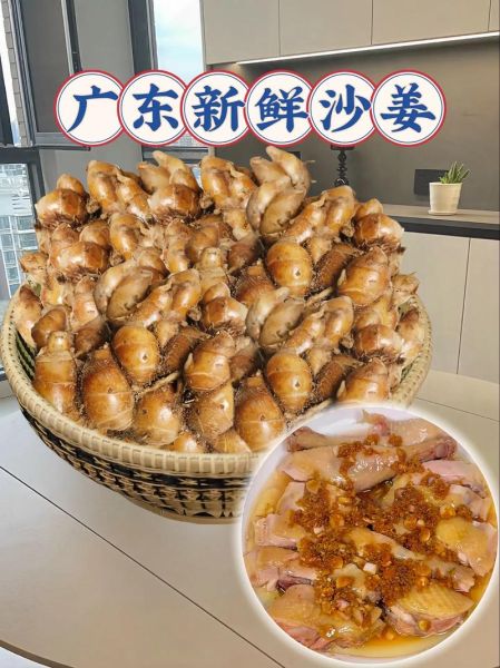 沙姜和生姜的区别图片_沙姜可以代替生姜吗-第2张图片-山城妙识
