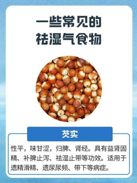 除湿热食物有哪些_湿气重吃什么最快-第2张图片-山城妙识