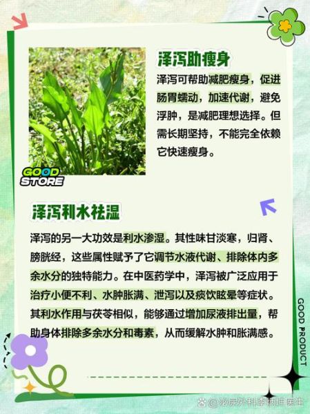 泽泻一天20克会伤肾吗_安全用量是多少-第1张图片-山城妙识