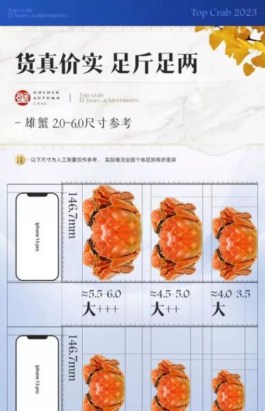 蟹状元大闸蟹怎么选_蟹状元大闸蟹价格贵吗-第1张图片-山城妙识
