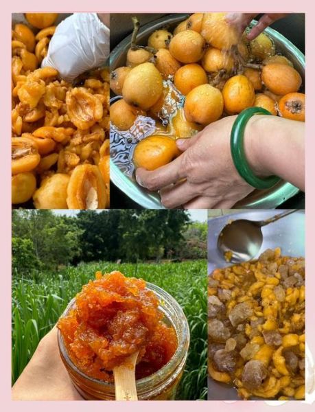 自制枇杷膏的功效与作用_枇杷膏怎么熬制止咳润肺-第2张图片-山城妙识