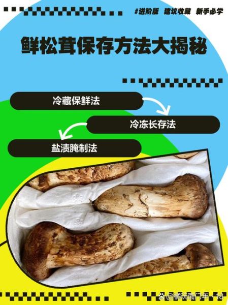 鲜松茸怎么保存_鲜松茸怎么吃最好吃-第1张图片-山城妙识