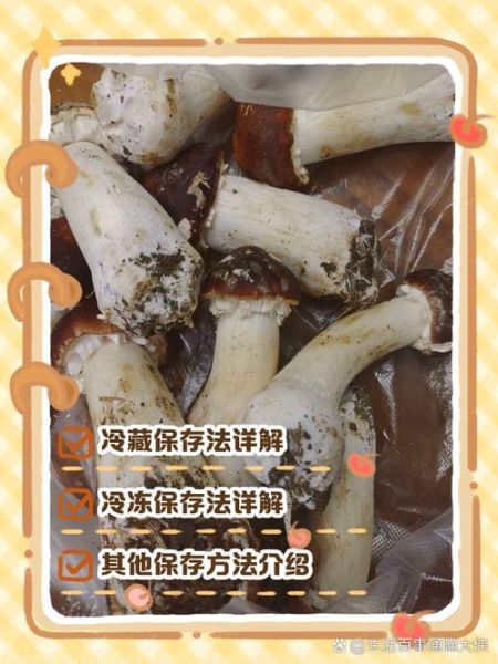 鲜松茸怎么保存_鲜松茸怎么吃最好吃-第2张图片-山城妙识
