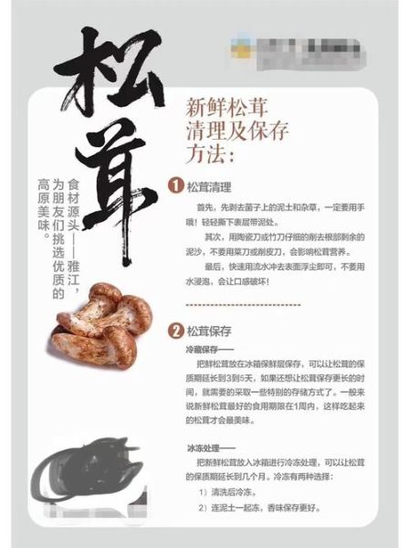 松茸为什么不能水洗_松茸清洗正确方法-第3张图片-山城妙识