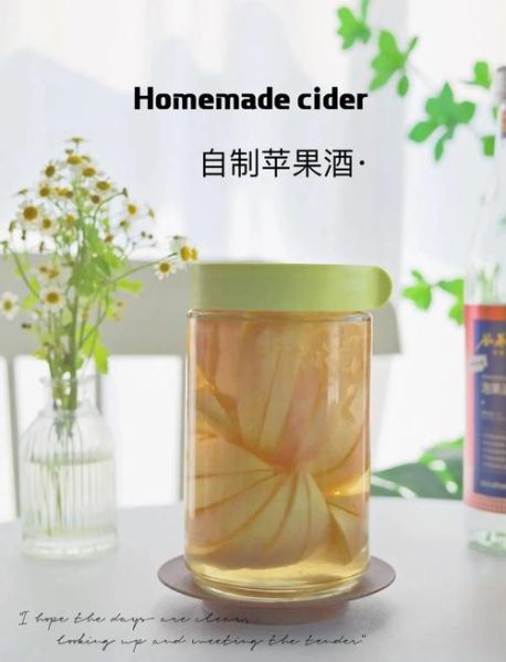 自制果酒大全_果酒怎么做不失败-第3张图片-山城妙识