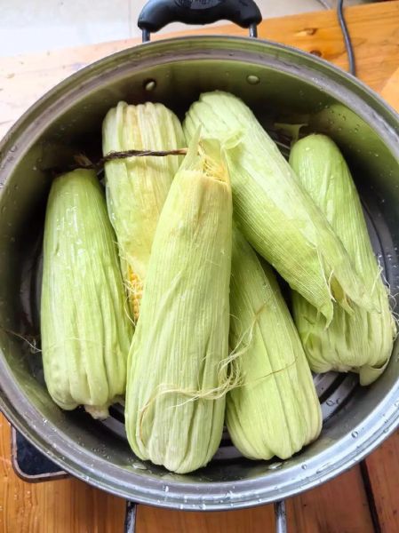 甜玉米怎么煮好吃_甜玉米煮多久才甜-第1张图片-山城妙识
