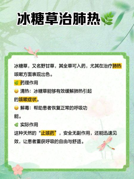 降糖草的功效与作用_降糖草怎么吃效果最好-第1张图片-山城妙识