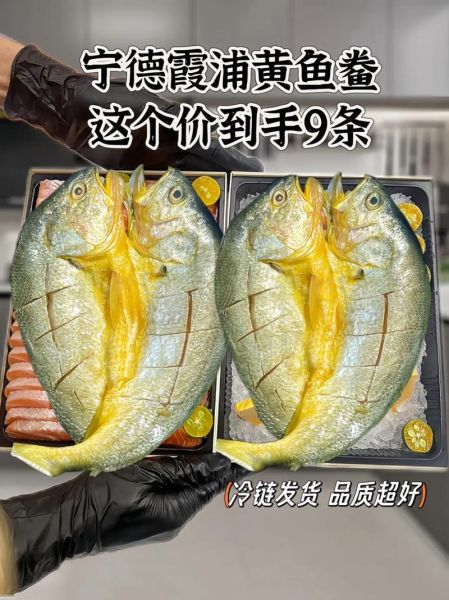 黄鱼鲞多少钱一斤_黄鱼鲞价格受哪些因素影响-第1张图片-山城妙识