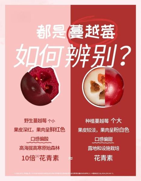 蔓越莓长什么样_蔓越莓和越橘的区别-第2张图片-山城妙识