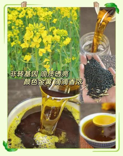 油菜籽油的功效与作用_适合什么人吃-第1张图片-山城妙识