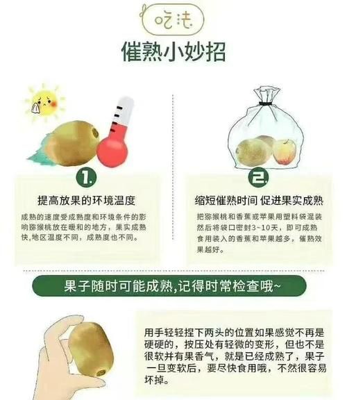 红心猕猴桃怎么催熟_红心猕猴桃催熟方法-第1张图片-山城妙识