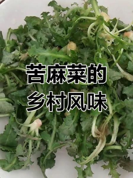 苦麻菜怎么做好吃_苦麻菜凉拌做法-第1张图片-山城妙识