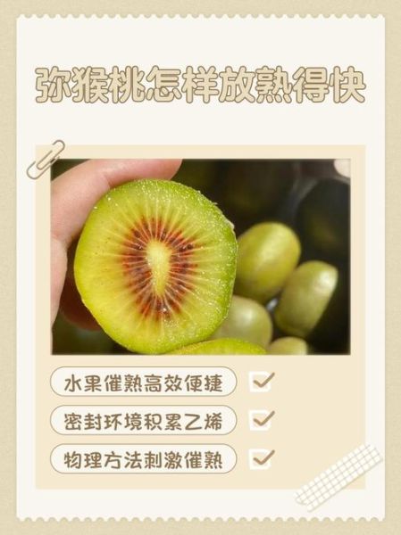 红心猕猴桃怎么催熟_红心猕猴桃催熟方法-第2张图片-山城妙识