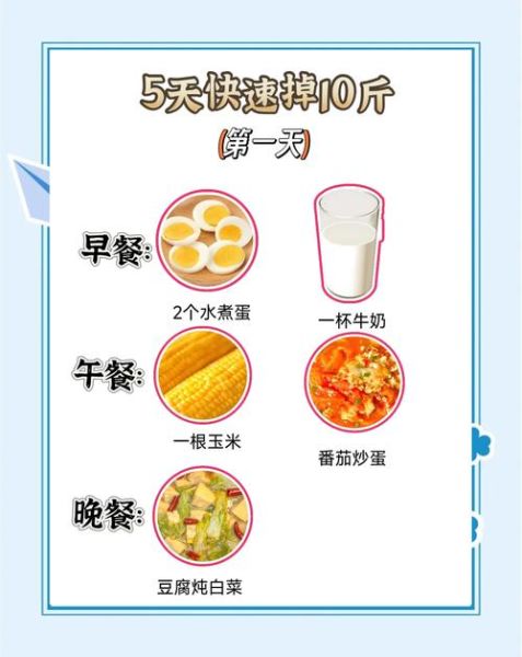 营养减肥瘦10斤_如何科学饮食不反弹-第2张图片-山城妙识