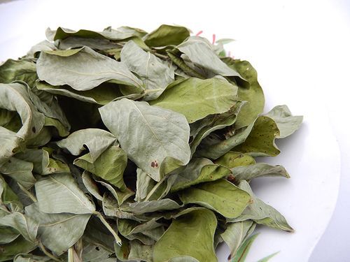 花生叶能治失眠吗_花生叶泡水喝的正确方法-第3张图片-山城妙识