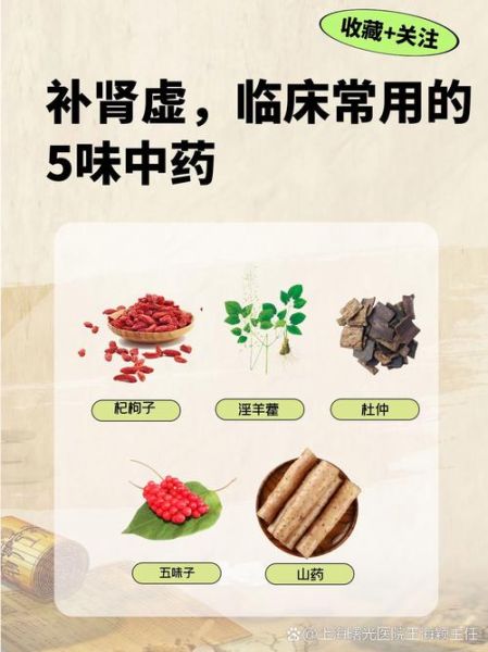 如何正确补肾_肾虚吃什么好-第2张图片-山城妙识