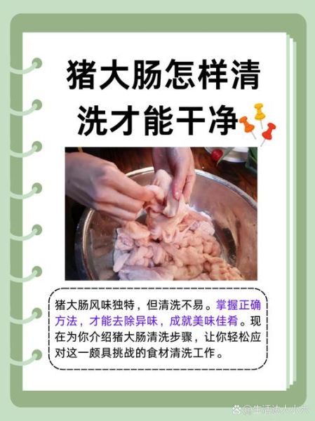 肥肠怎么清洗才干净_四川家常肥肠做法大全-第1张图片-山城妙识