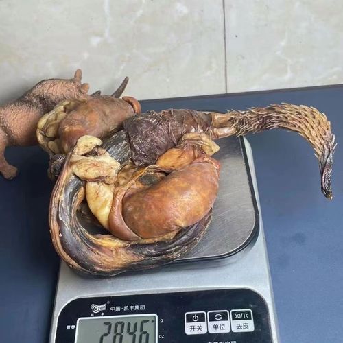 动物鞭功效_哪种动物鞭最好-第1张图片-山城妙识