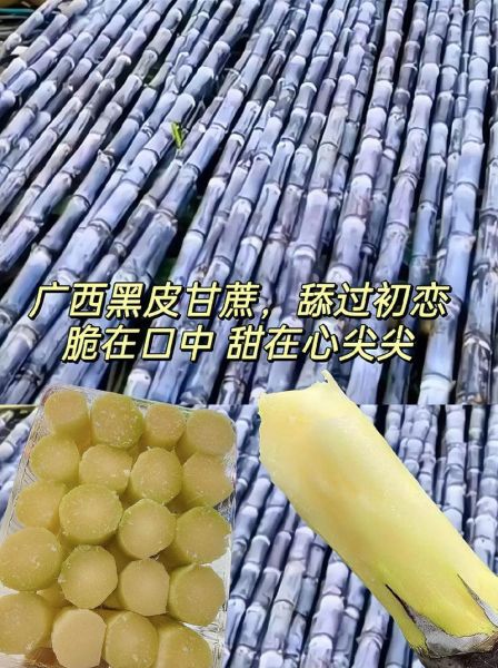 黑皮甘蔗上火还是下火_怎么吃不上火-第1张图片-山城妙识