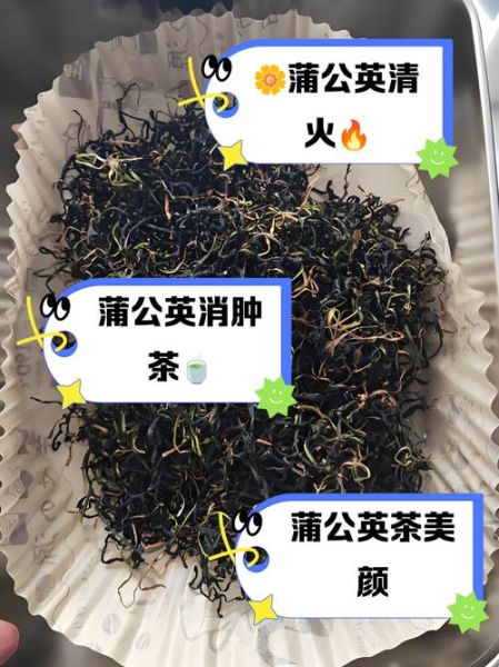 蒲公英茶几天喝一次_多久喝一次不伤肝-第2张图片-山城妙识