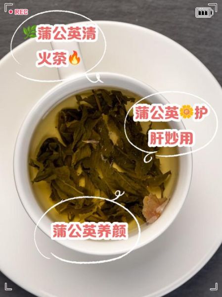 蒲公英茶几天喝一次_多久喝一次不伤肝-第1张图片-山城妙识