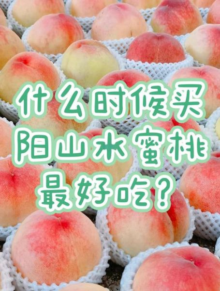 糖尿病能吃水蜜桃吗_血糖高吃水蜜桃注意事项-第1张图片-山城妙识