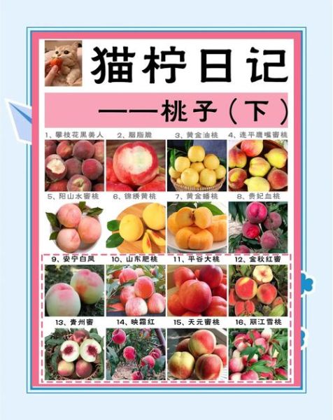 糖尿病能吃水蜜桃吗_血糖高吃水蜜桃注意事项-第2张图片-山城妙识