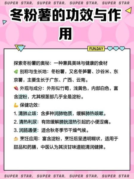 冬粉薯怎么做好吃_冬粉薯的功效与作用-第2张图片-山城妙识