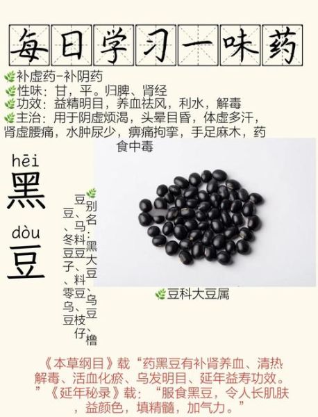 黑芸豆和黑豆的功效区别_哪个更适合养生-第1张图片-山城妙识