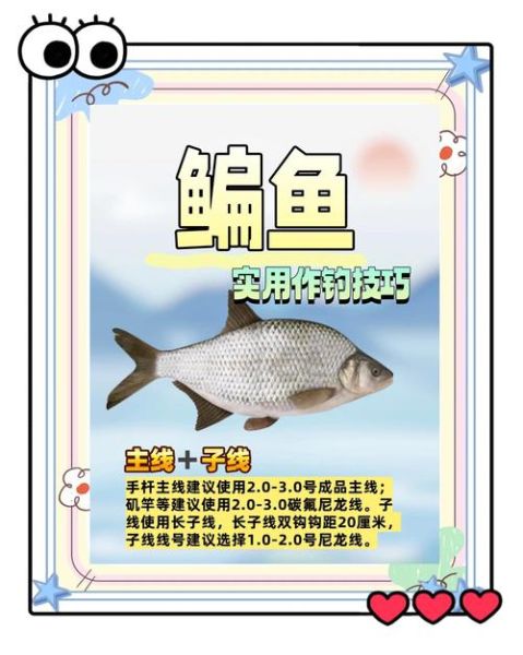 钓鳊鱼用什么饵料_钓鳊鱼最佳时间-第1张图片-山城妙识