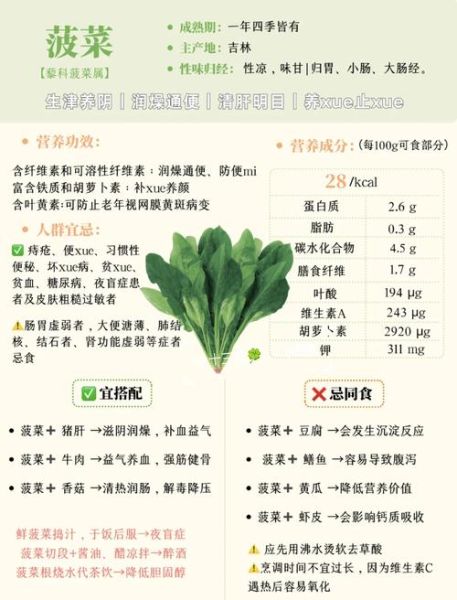 菠菜的营养价值_菠菜的功效与作用-第1张图片-山城妙识