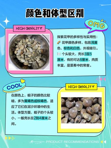 花甲和蛏子哪个更营养_花甲和蛏子的区别-第1张图片-山城妙识