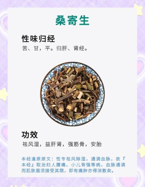 桑寄生有什么功效与作用_桑寄生图片长什么样-第1张图片-山城妙识