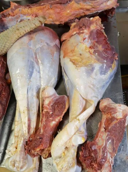 鸵鸟肉哪些人不能吃_鸵鸟肉不能和什么一起吃-第3张图片-山城妙识