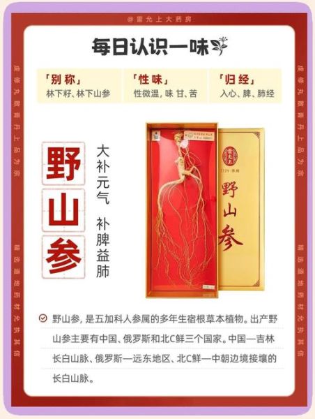 野山参的功效与作用_野山参怎么吃效果最好-第1张图片-山城妙识