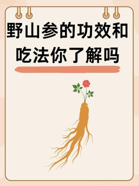 野山参的功效与作用_野山参怎么吃效果最好-第2张图片-山城妙识
